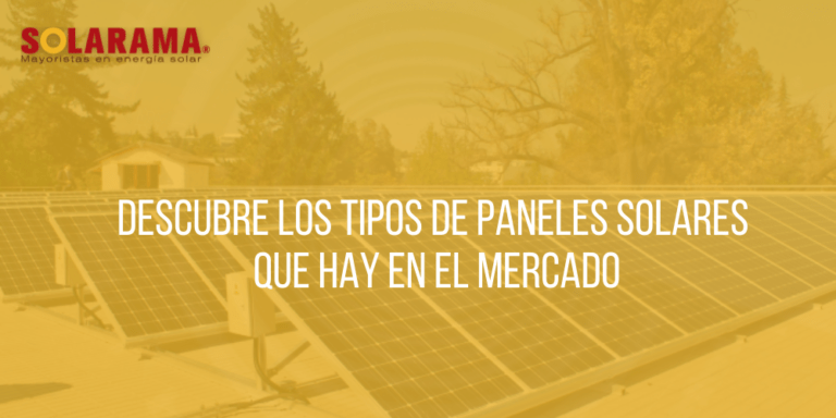 Descubre los tipos de paneles solares que hay en el mercado