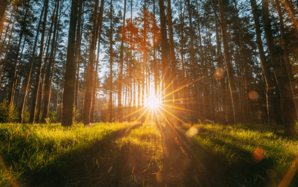Conoce los 9 tipos de radiación solar y sus características