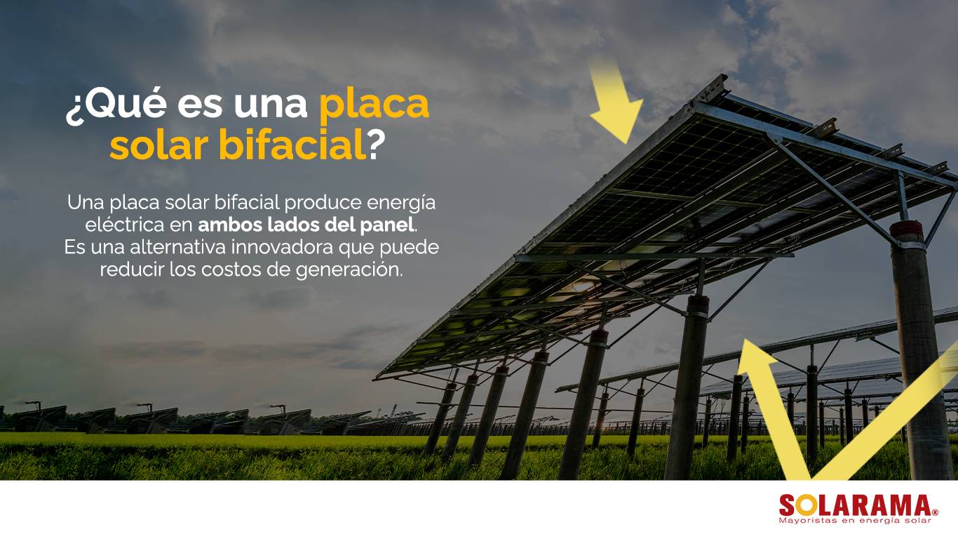 Placa solar bifacial ¿Cuáles son sus características y ventajas?